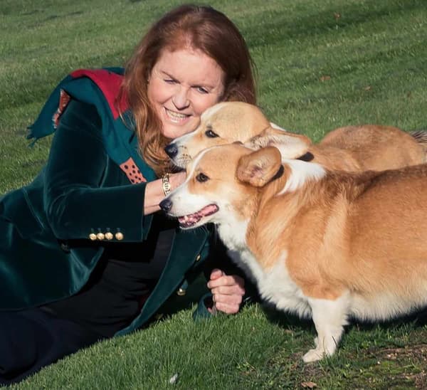 Pour son anniversaire, Sarah Ferguson pose avec les corgis de la reine ...