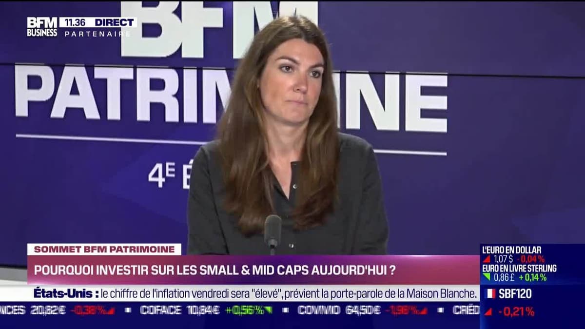 Sommet BFM Patrimoine : Pourquoi investir sur les small et mid caps ...