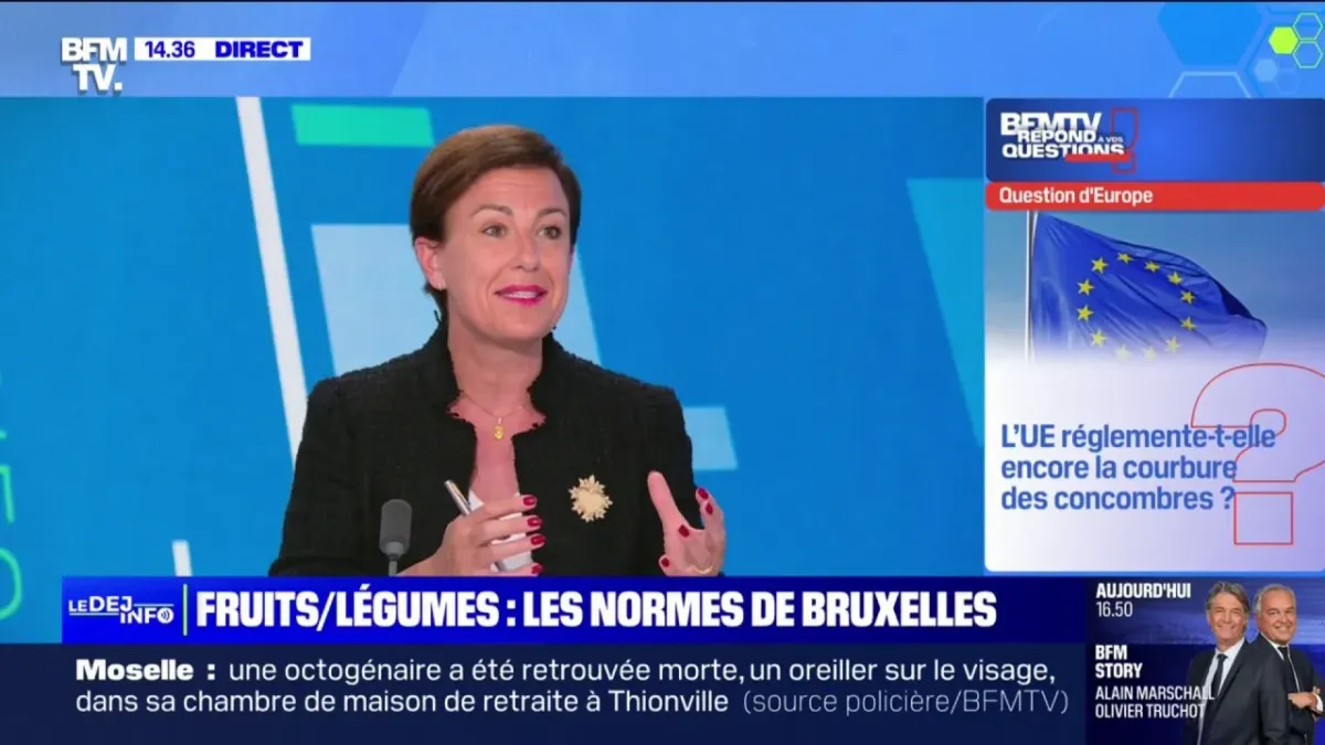 L'Union européenne réglemente-t-elle encore la courbure des concombres ...