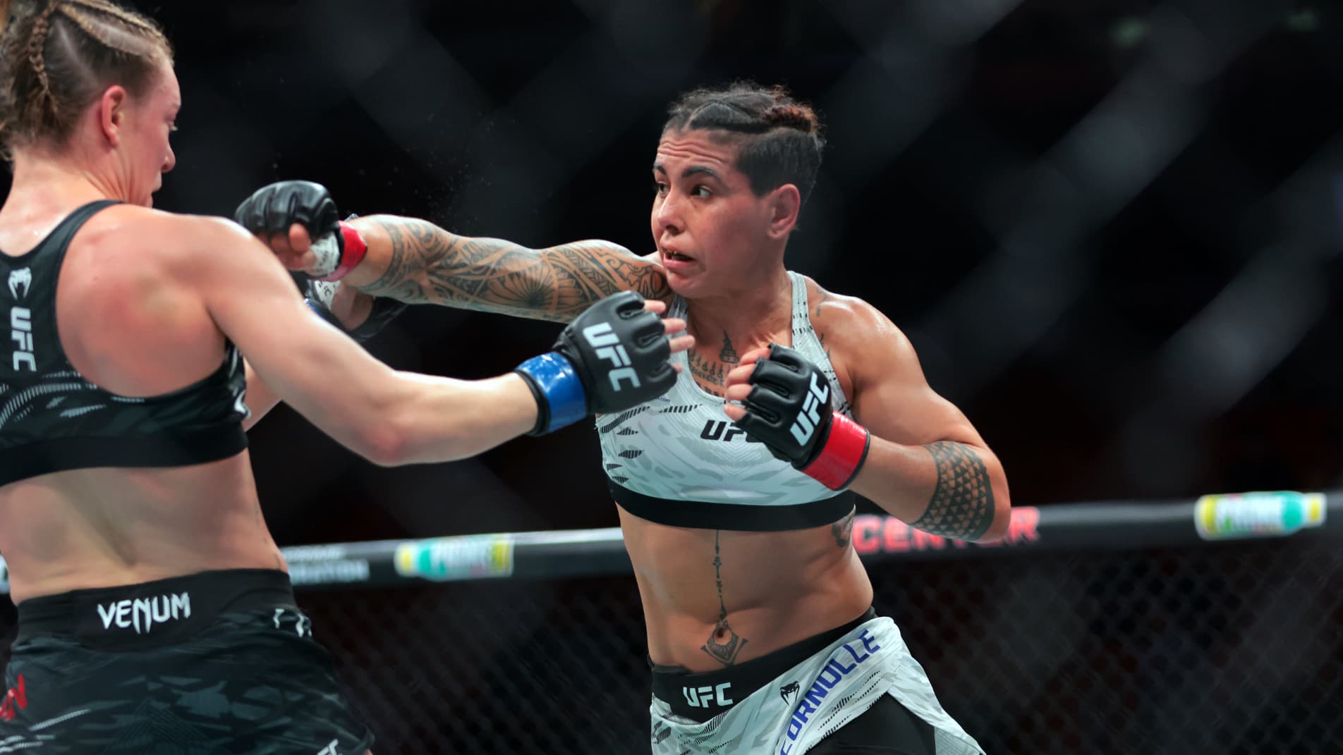 "De l'argent facile": Perez répond au défi de Cornolle, un combat à ...