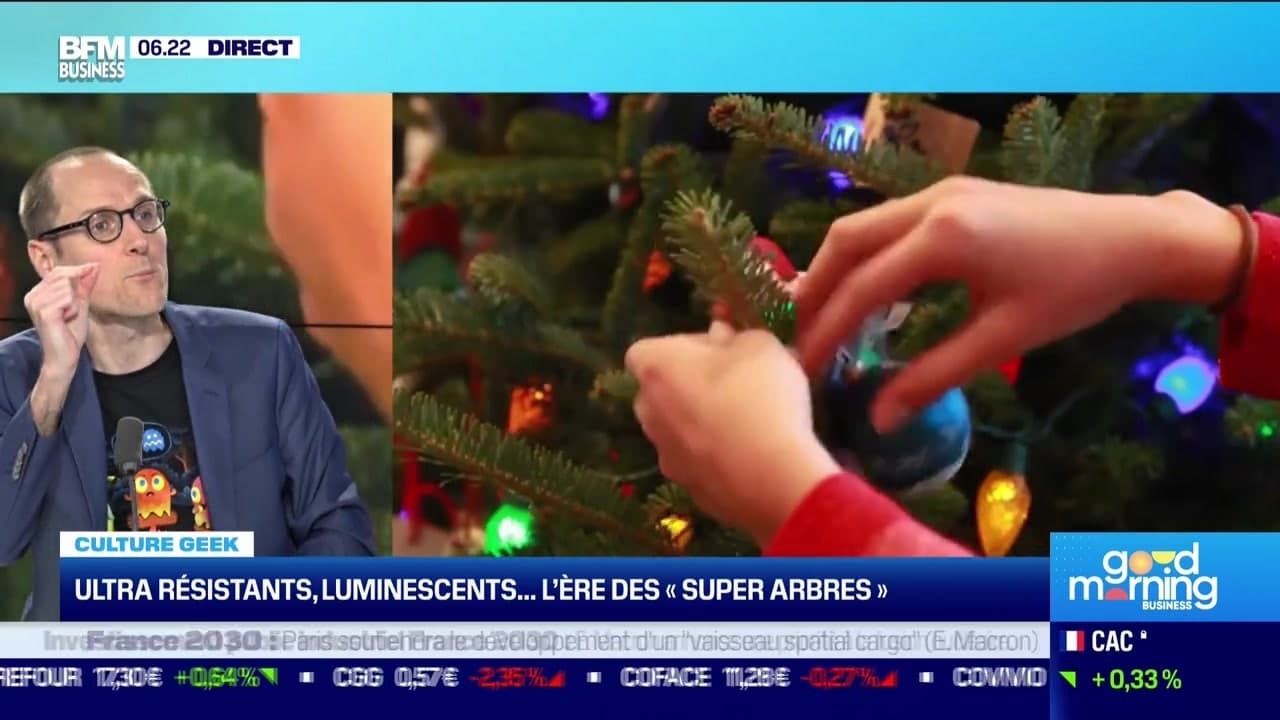 Culture Geek : Ultra résistants, luminescents... l'ère des "super arbres", par Anthony Morel - 12/12