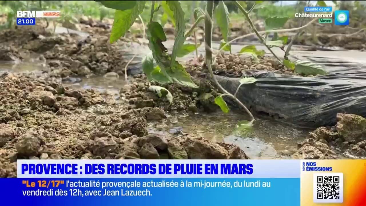 Provence: des records de pluie en mars