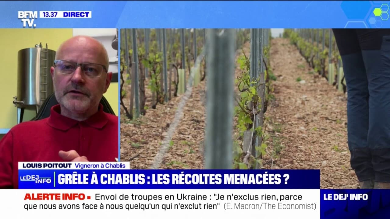 Louis Poitout (vigneron à Chablis) sur les intempéries: "En surface ...