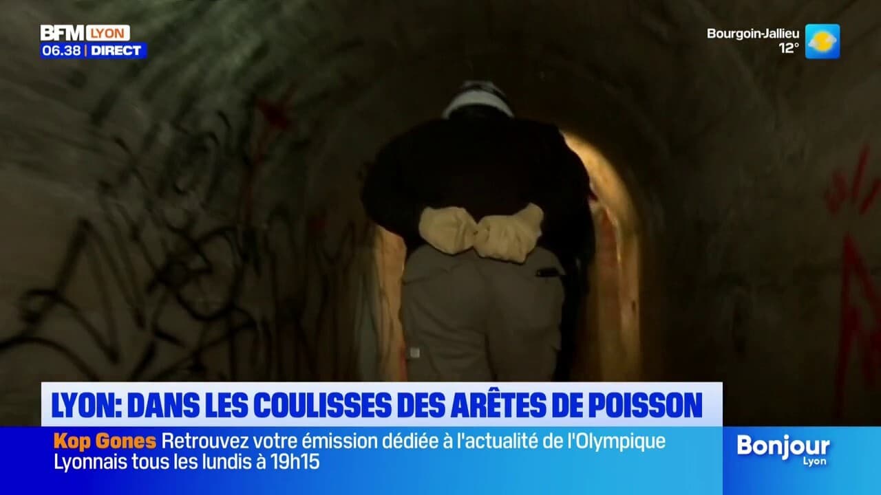 Lyon: plongée dans les coulisses des arêtes de poisson