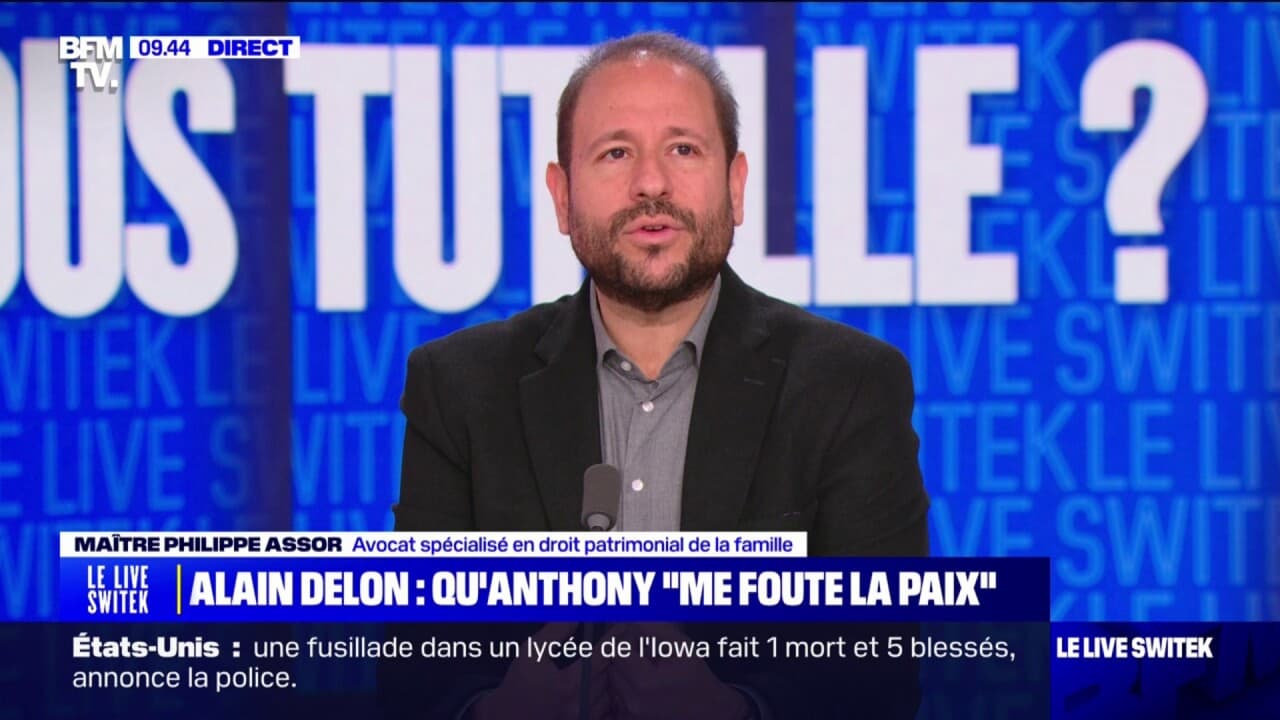 Famille Delon: "C'est une affaire absolument banale" selon maître ...