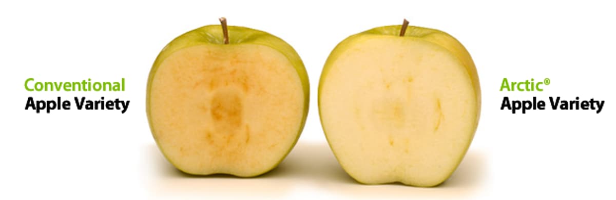 Des pommes génétiquement modifiées vont être commercialisées, une première