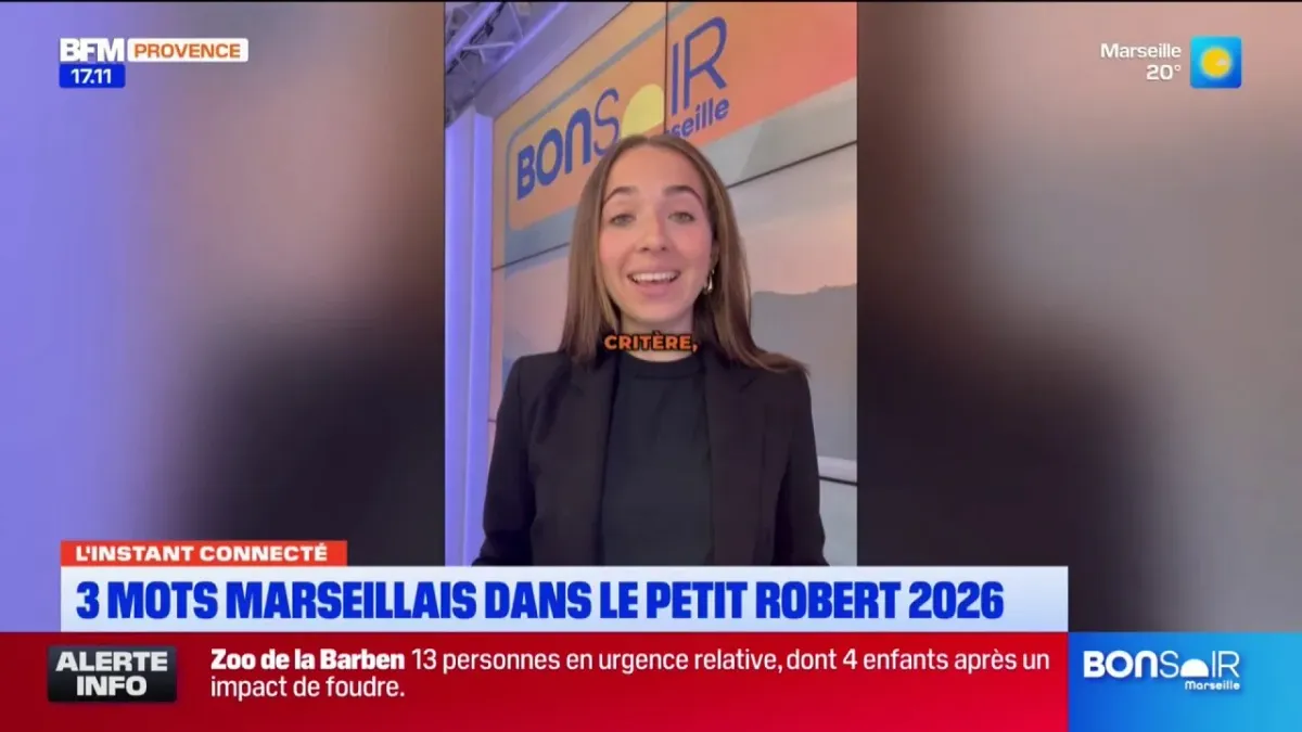 Gâté, tanquer, tarpin, ces mots marseillais qui entrent dans le dictionnaire