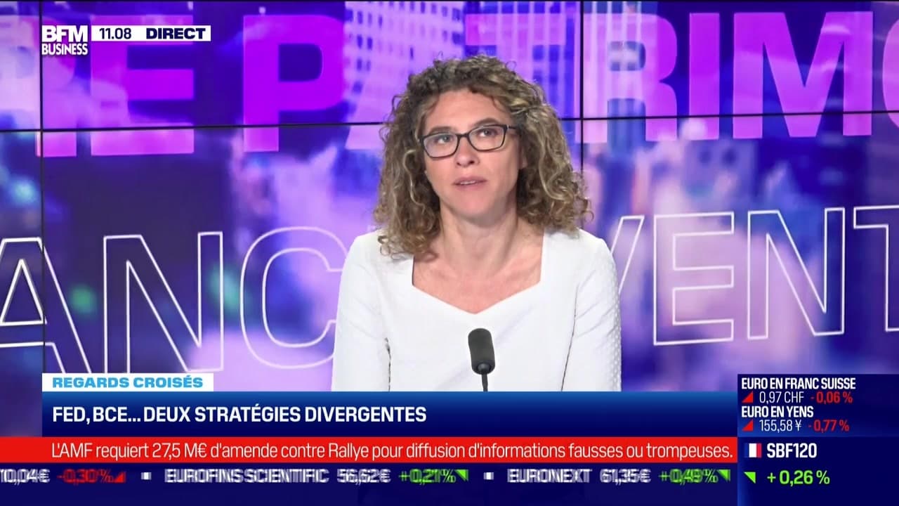 Ombretta Signori VS Daniel Gerino : Qu'est-ce qui différencie les ...