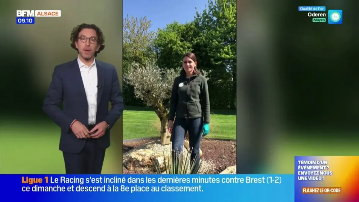 Samba...Rio de Janeiro ! - La météo de Colas du mardi 2 décembre 2025