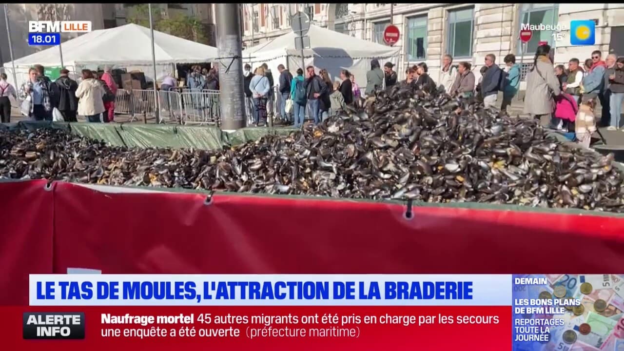 Braderie de Lille: le tas de moules, l'attraction à ne pas louper