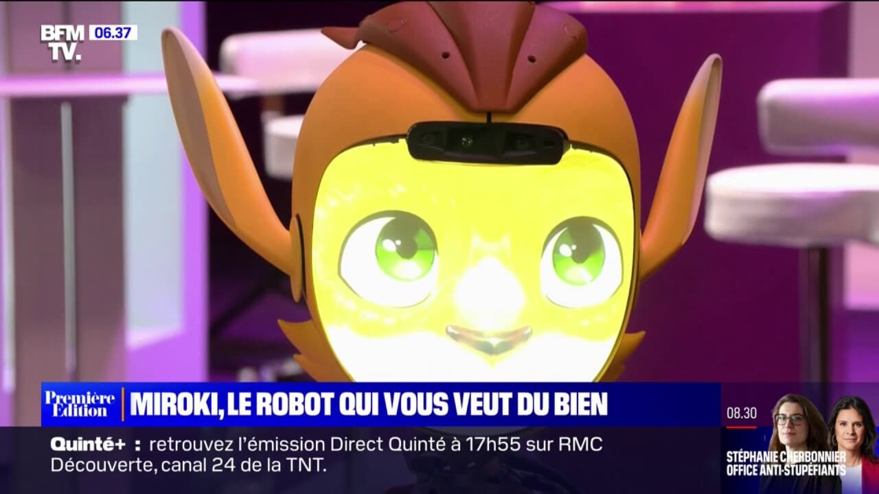 Voici "Miroki", le robot français qui veut épauler les soignants dans ...
