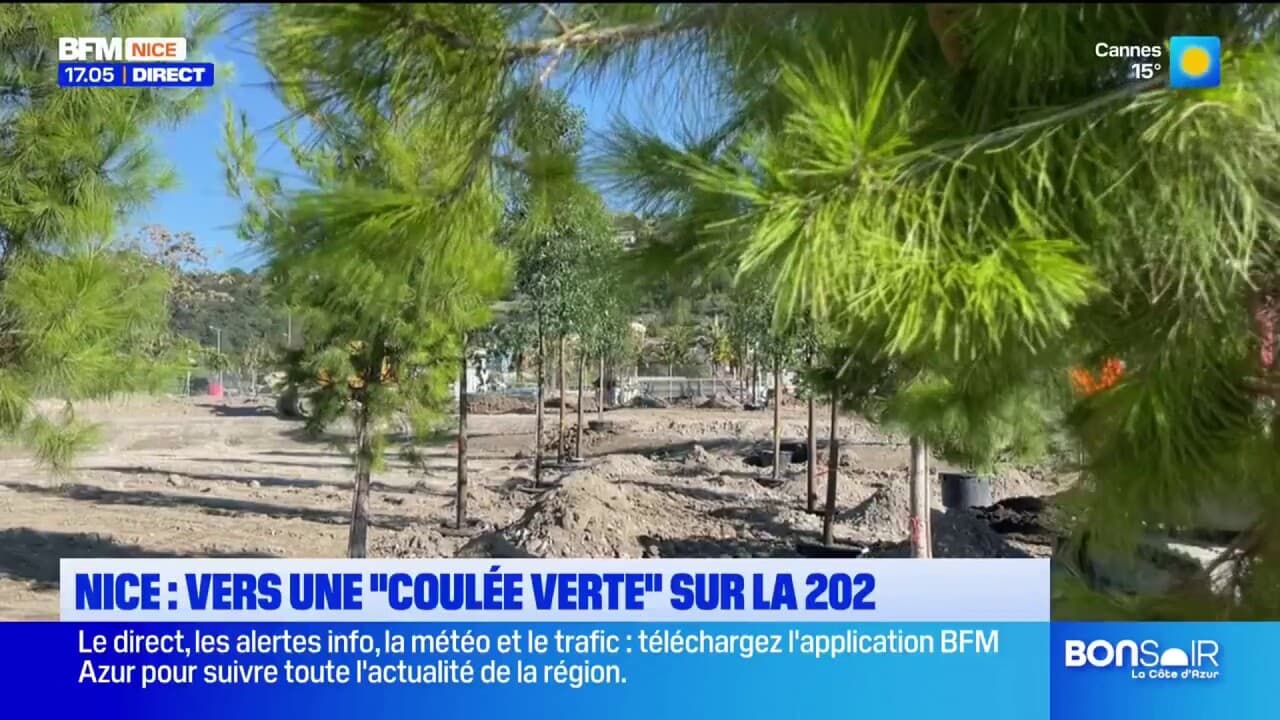 Nice: les premiers arbres du Grand parc de la plaine du Var ont été plantés
