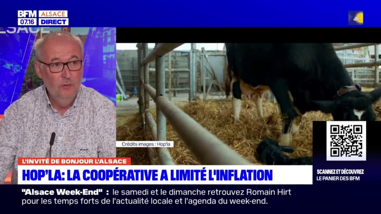 Bas-Rhin: les conséquences de l'inflation pour la coopérative Hop'la Bas-Rhin: les conséquences de l'inflation pour la coopérative Hop'la