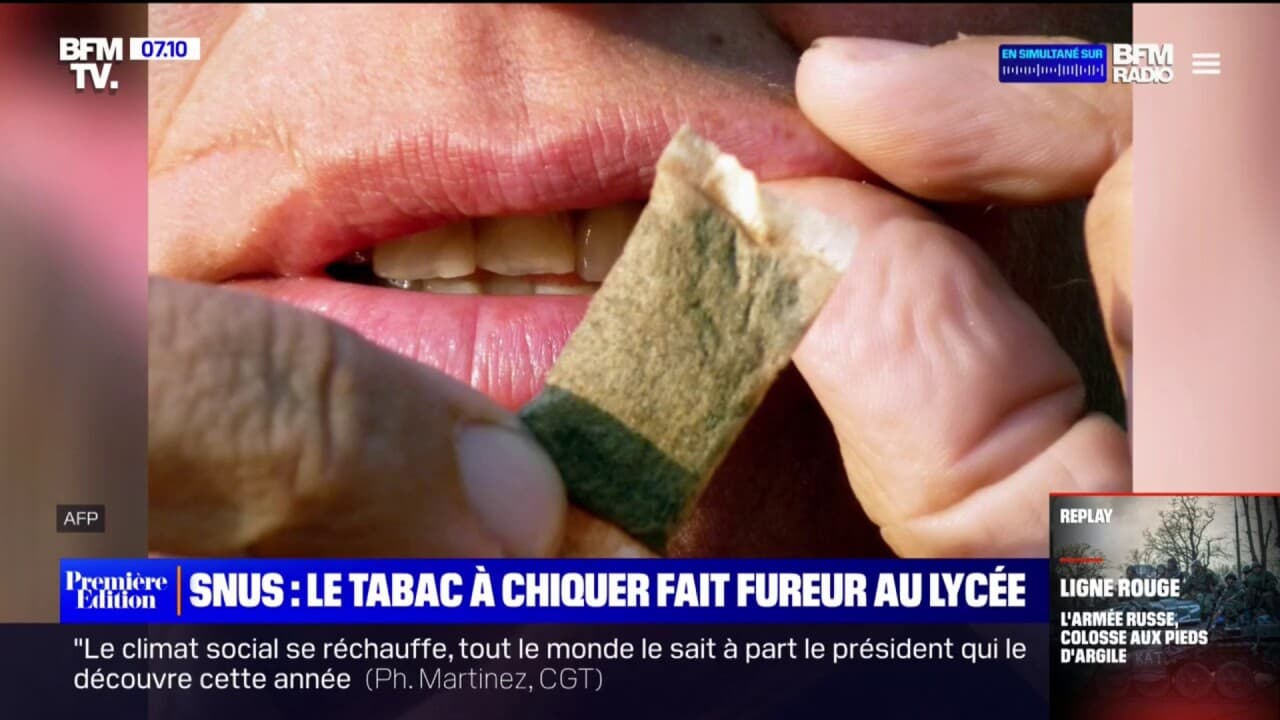 Le snus, ce tabac à chiquer fait fureur dans les lycées est-il dangereux pour la santé?