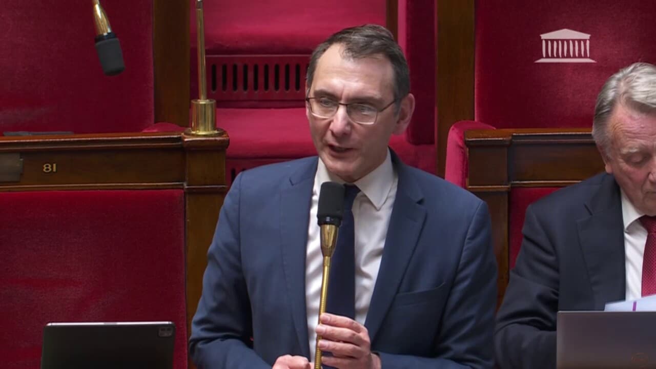 Laurent Jacobelli (RN) aux députés de la Nupes: "Vous êtes des guignols ...