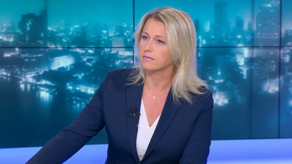 Barbara Pompili candidate à la présidence de l'Assemblée nationale