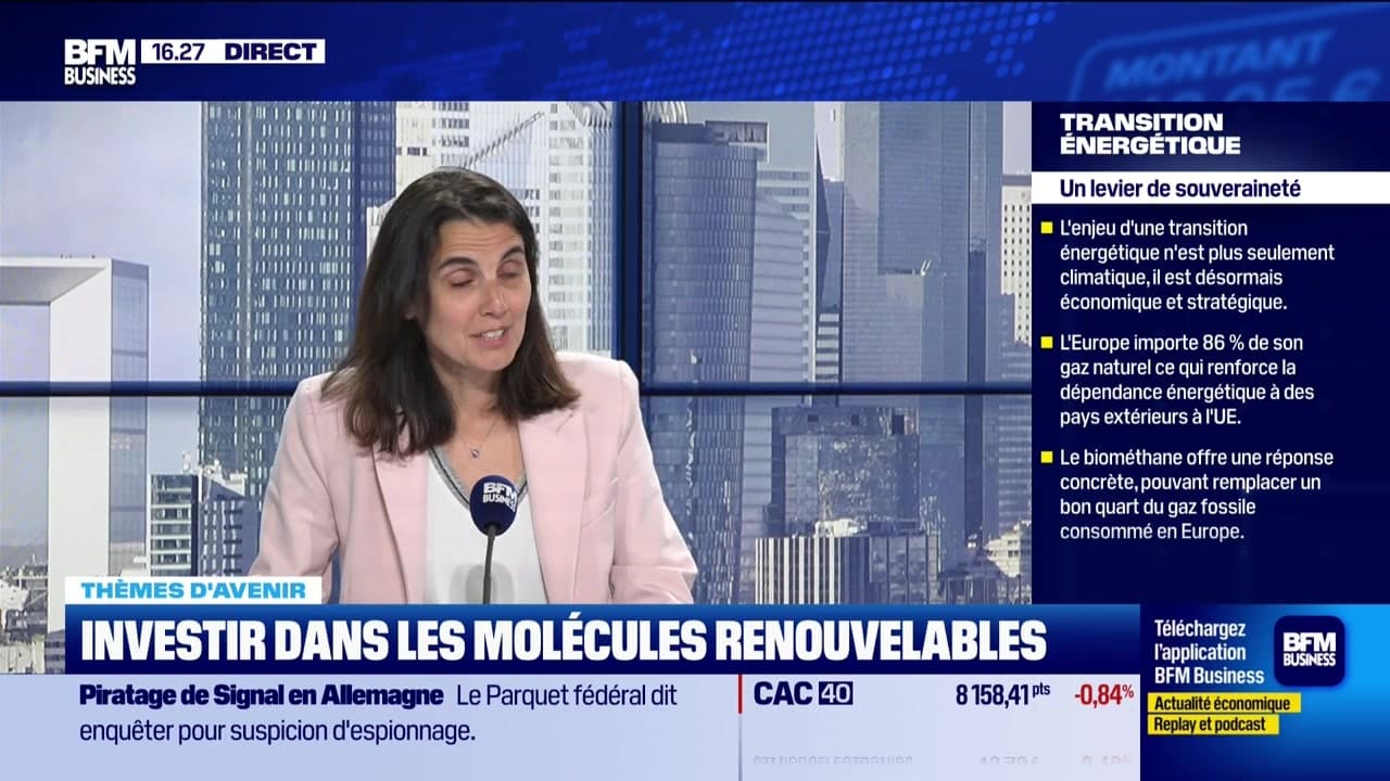 "La biomasse a autant de potentiel en Bourse que le solaire ou les ...