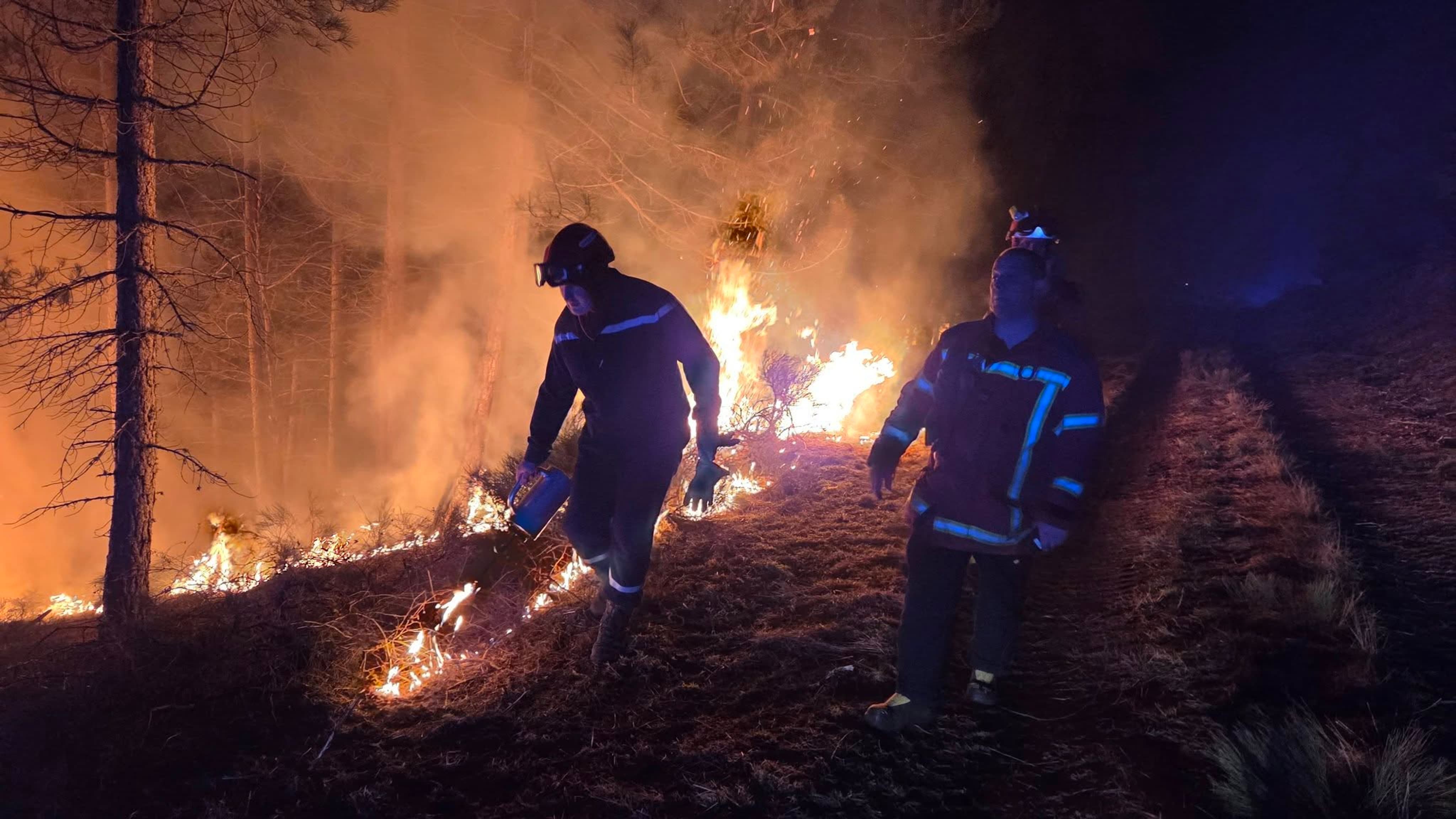 110 hectares de végétation brûlent dans un feu de forêt à Altier, en Lozère