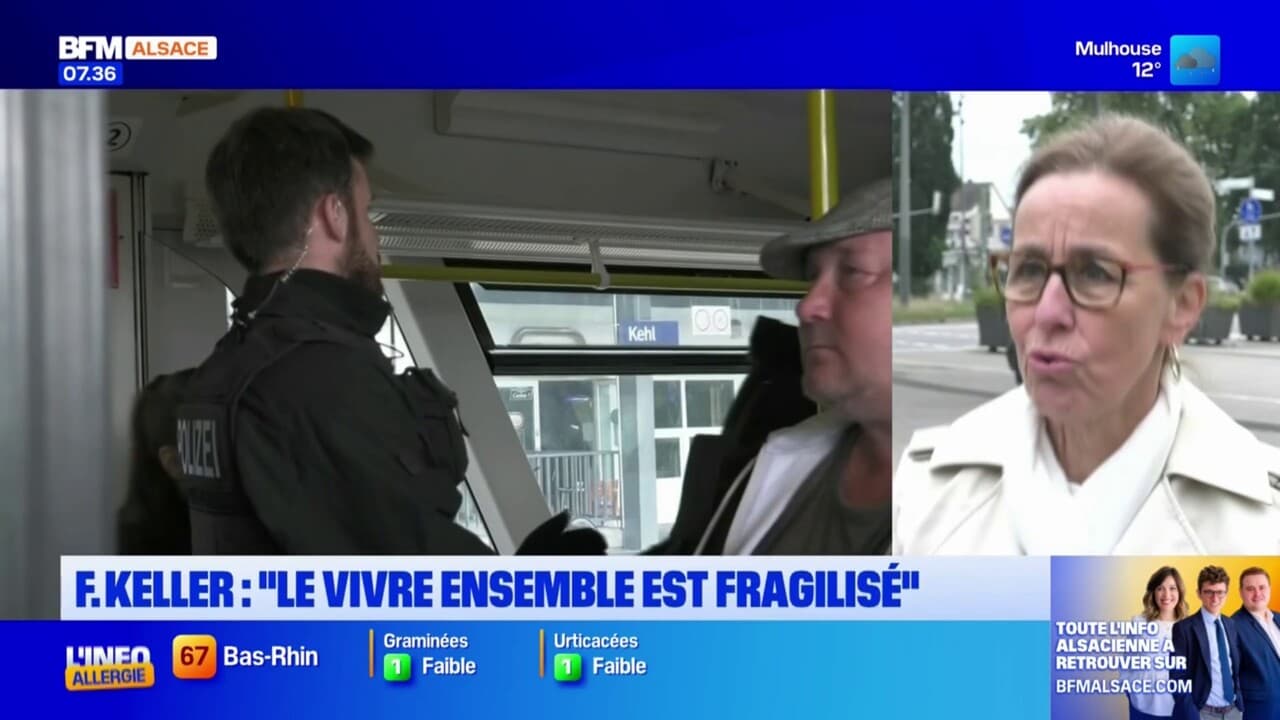 “La libre circulation est fragilisée” : la députée européenne Fabienne Keller n’est pas ...