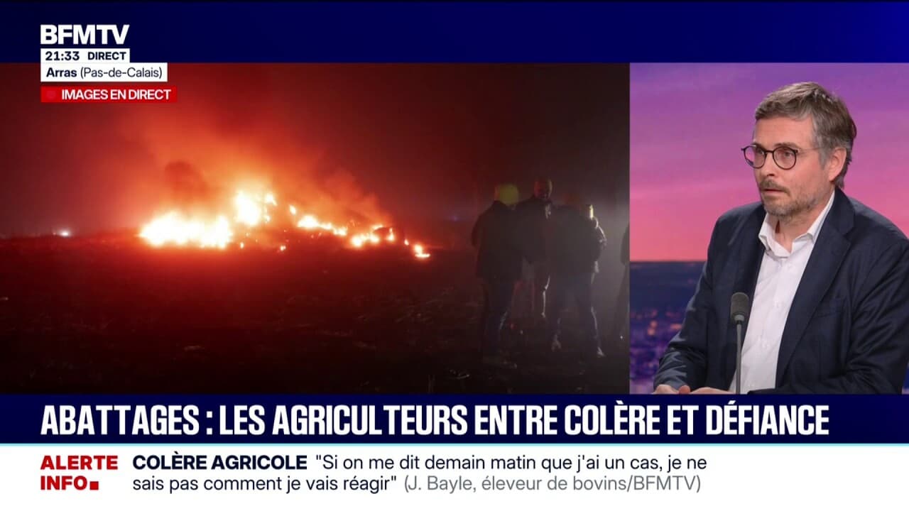 Dermatose bovine: "Je pense sincèrement qu'un protocole allégé sera ...