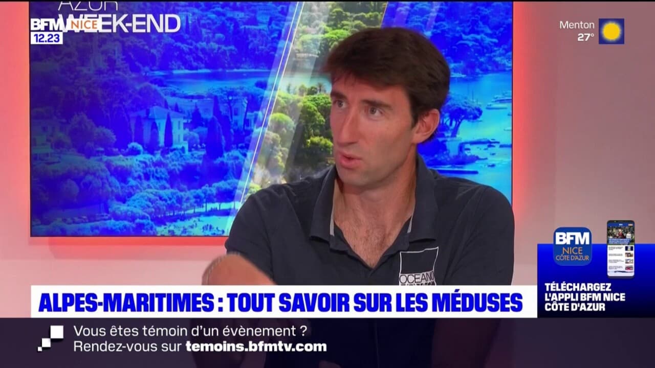 Alpes-Maritimes: tout savoir sur les méduses, avec Olivier Brunel, chef ...
