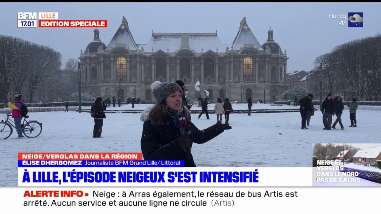 Neige et verglas: un manteau blanc recouvre la région lilloise