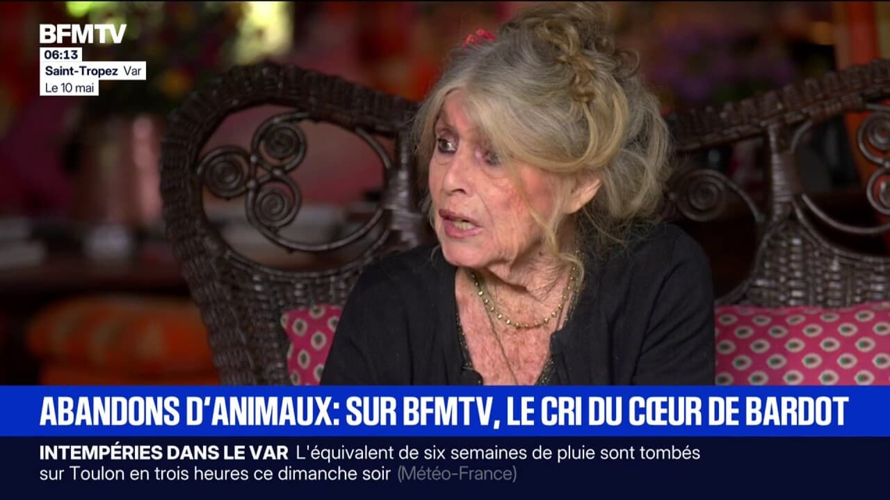 Le cri du cœur de Brigitte Bardot contre les abandons d'animaux