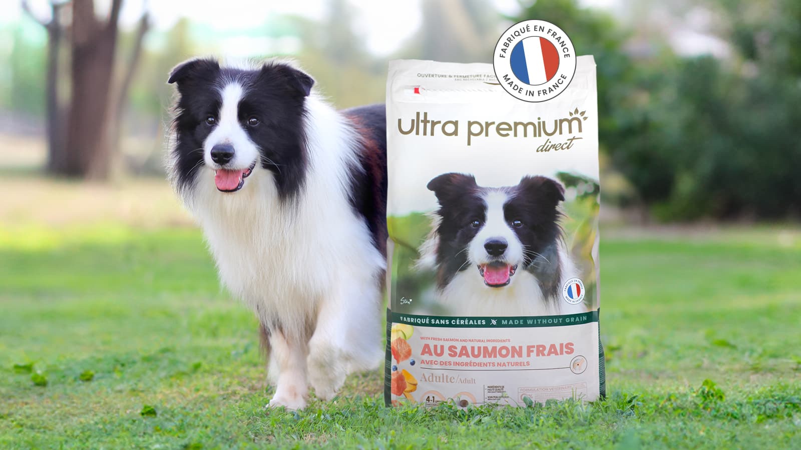 Offrez à votre animal de compagnie une alimentation de qualité et ...