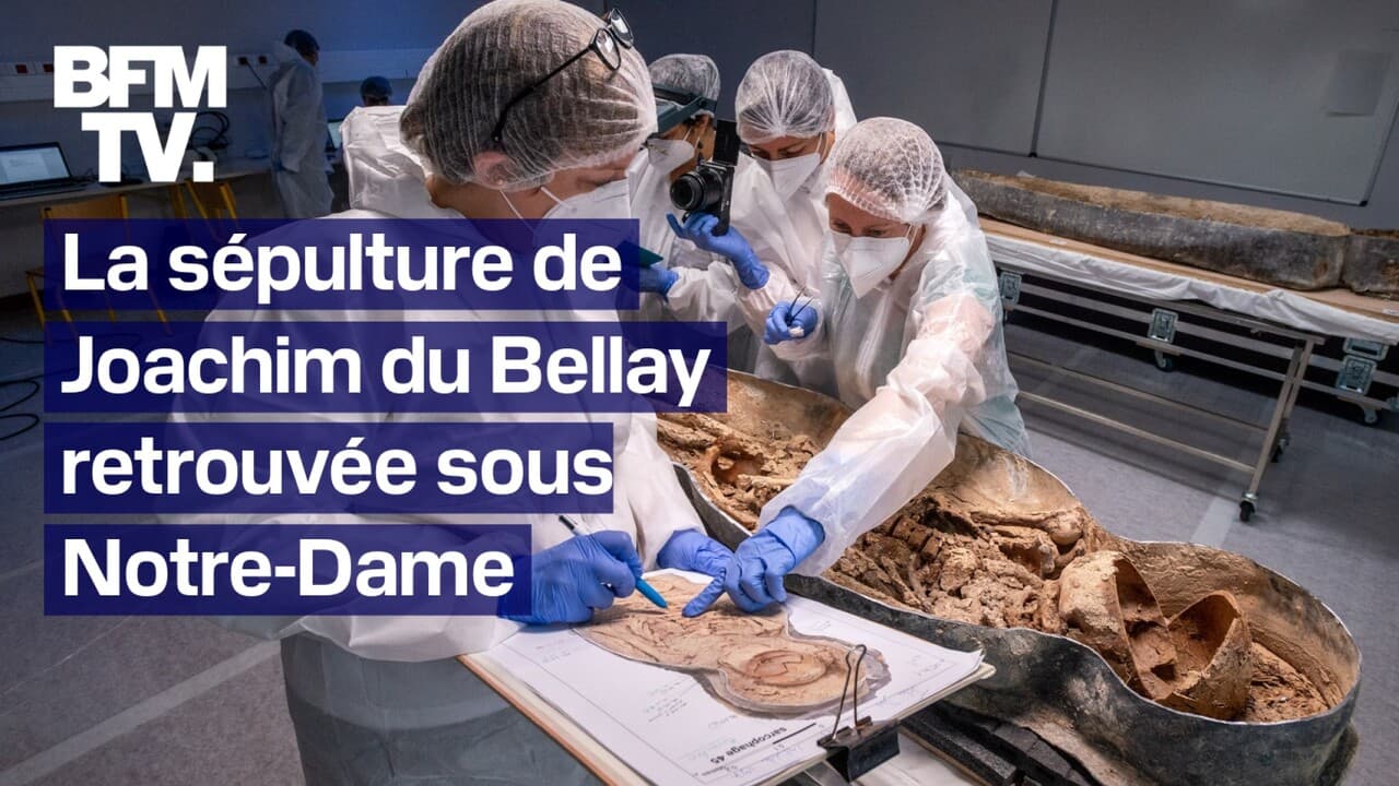 Le poète Joachim du Bellay identifié dans un cercueil sous Notre-Dame ...