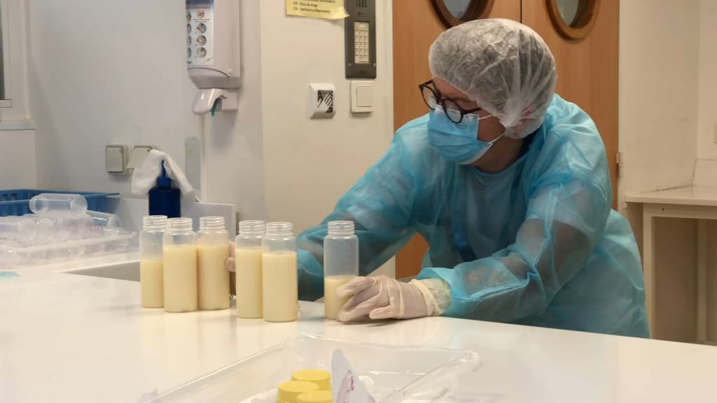 Auvergne-Rhône-Alpes: le lactarium lance un appel au don de lait maternel