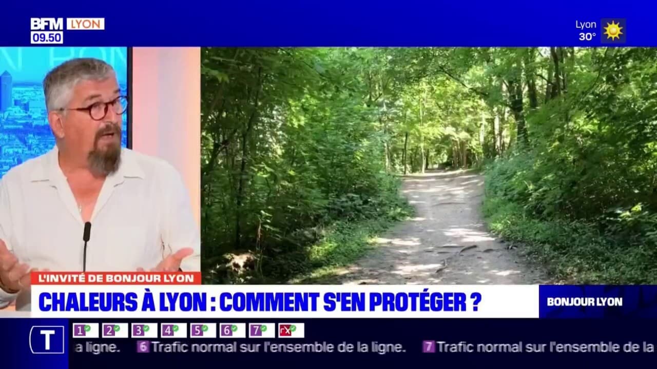 Canicule à Lyon: les parcs de la métropole souffrent aussi des fortes ... Canicule à Lyon: les parcs de la métropole souffrent aussi des fortes ...
