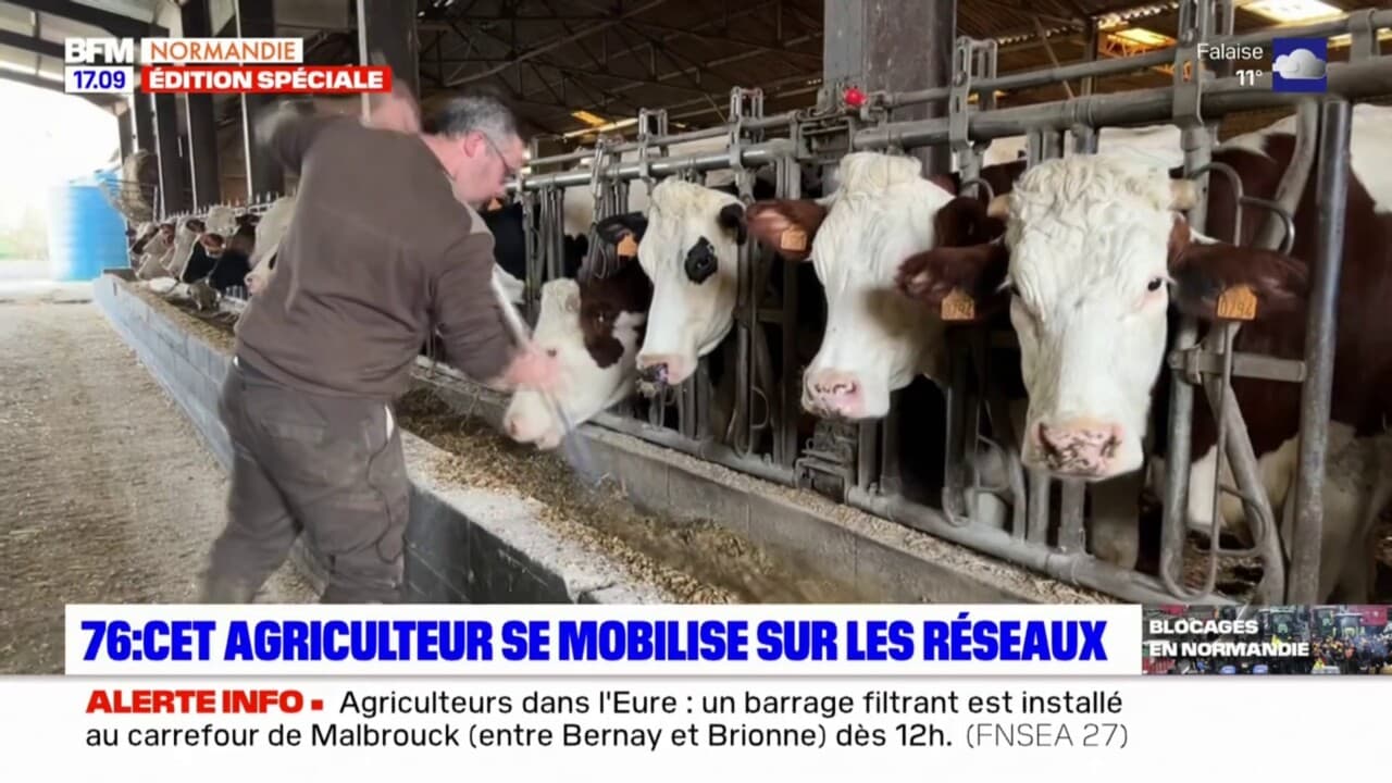 "Aidez mon papa avant que je le perde": en Normandie, un agriculteur se ...