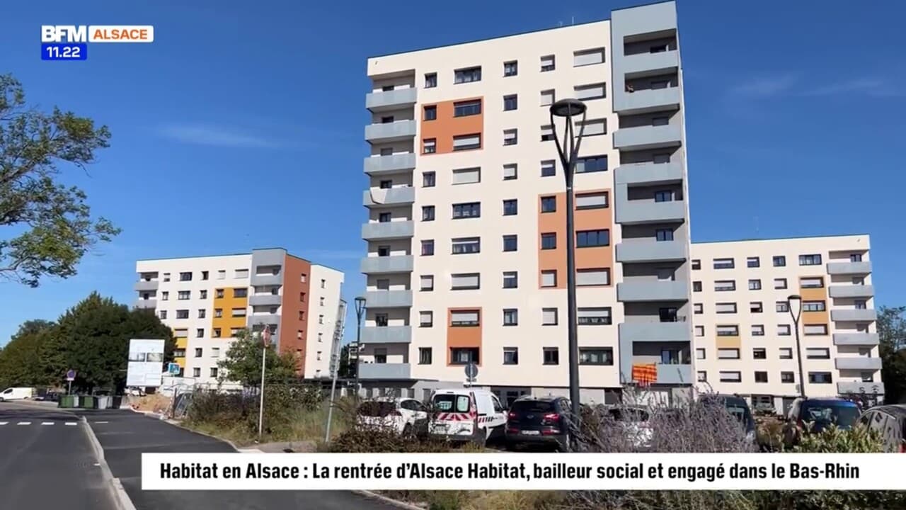 Habitat en Alsace : La rentrée d'Alsace Habitat, bailleur social et ...