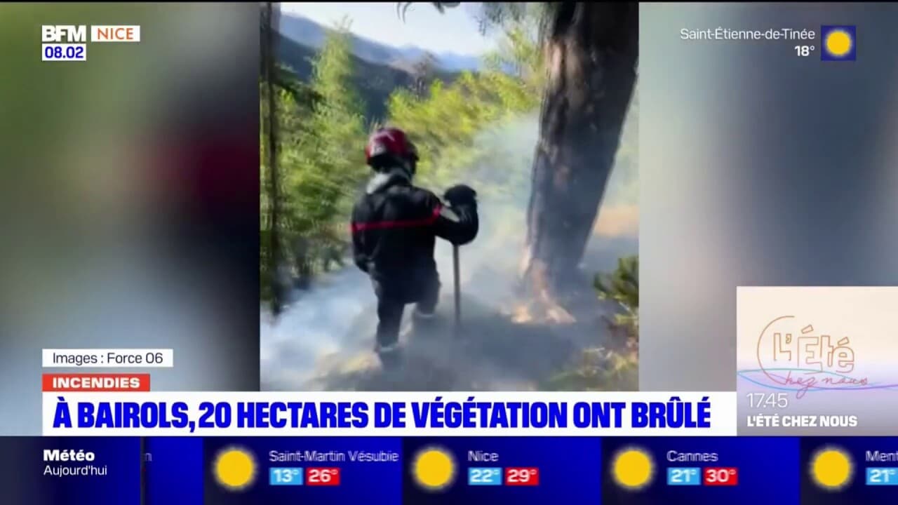 Alpes Maritimes à Bairols 20 Hectares De Végétation Ont Brûlé