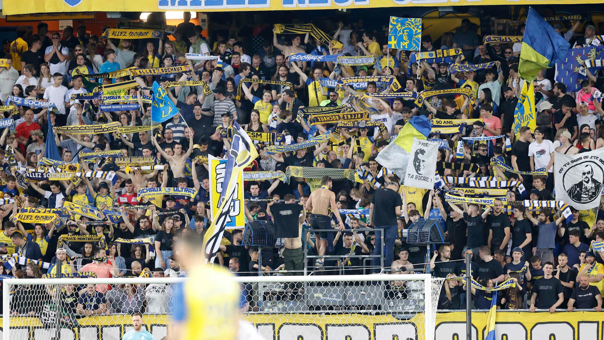 "On a peur de perdre notre passion", à Sochaux, les supporters et ...