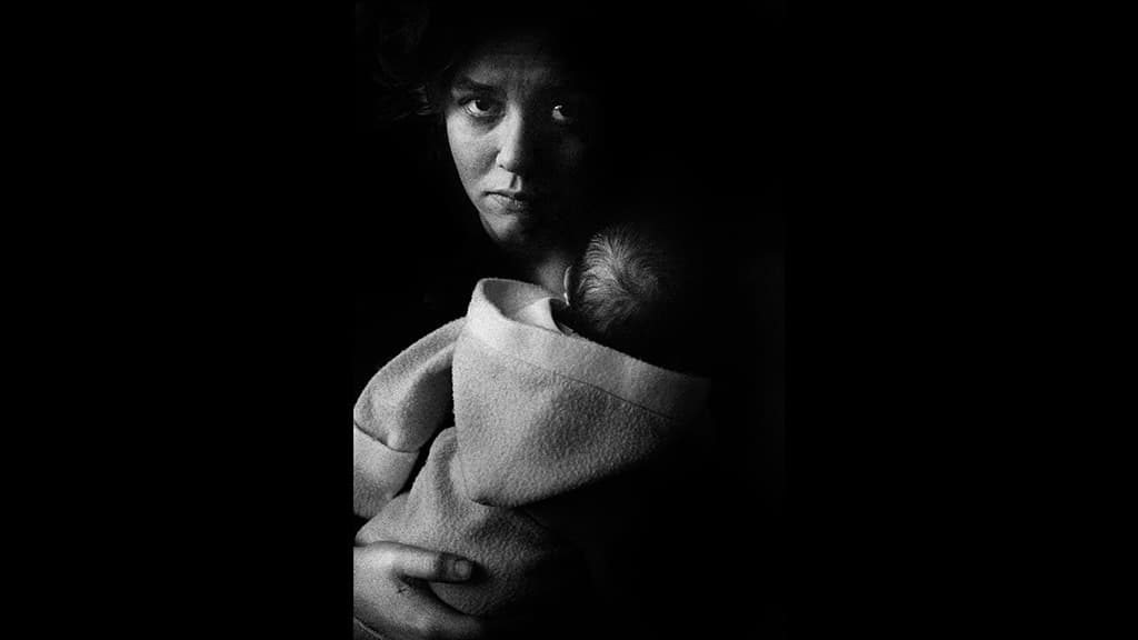 "The Julie Project", ou comment Darcy Padilla a photographié la même ...