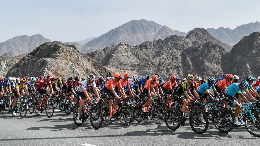 Coronavirus: le président de Cofidis explique le quotidien en ...