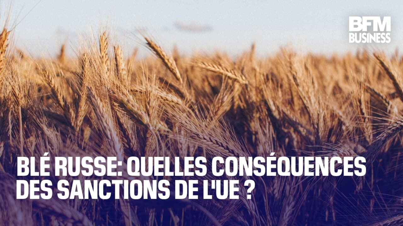 Blé russe: quelles conséquences des sanctions de l'UE