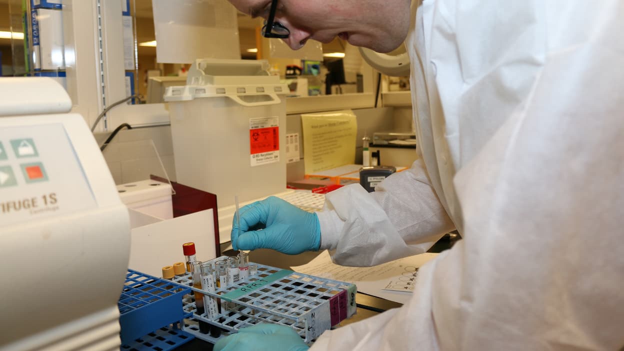 Les cas de syphilis ont bondi de 70% en Europe entre 2010 et 2017