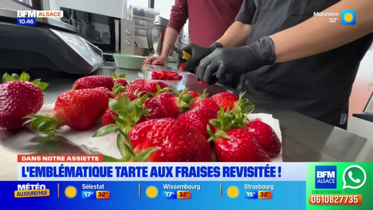 Fraises : de la cueillette à l'assiette 🍓