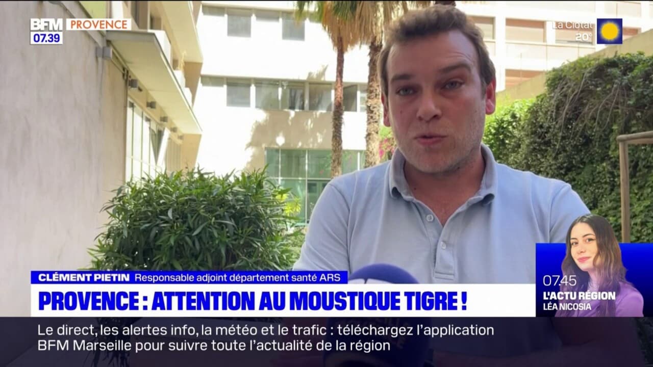 Provence: l'ARS appelle à lutter contre le moustique tigre