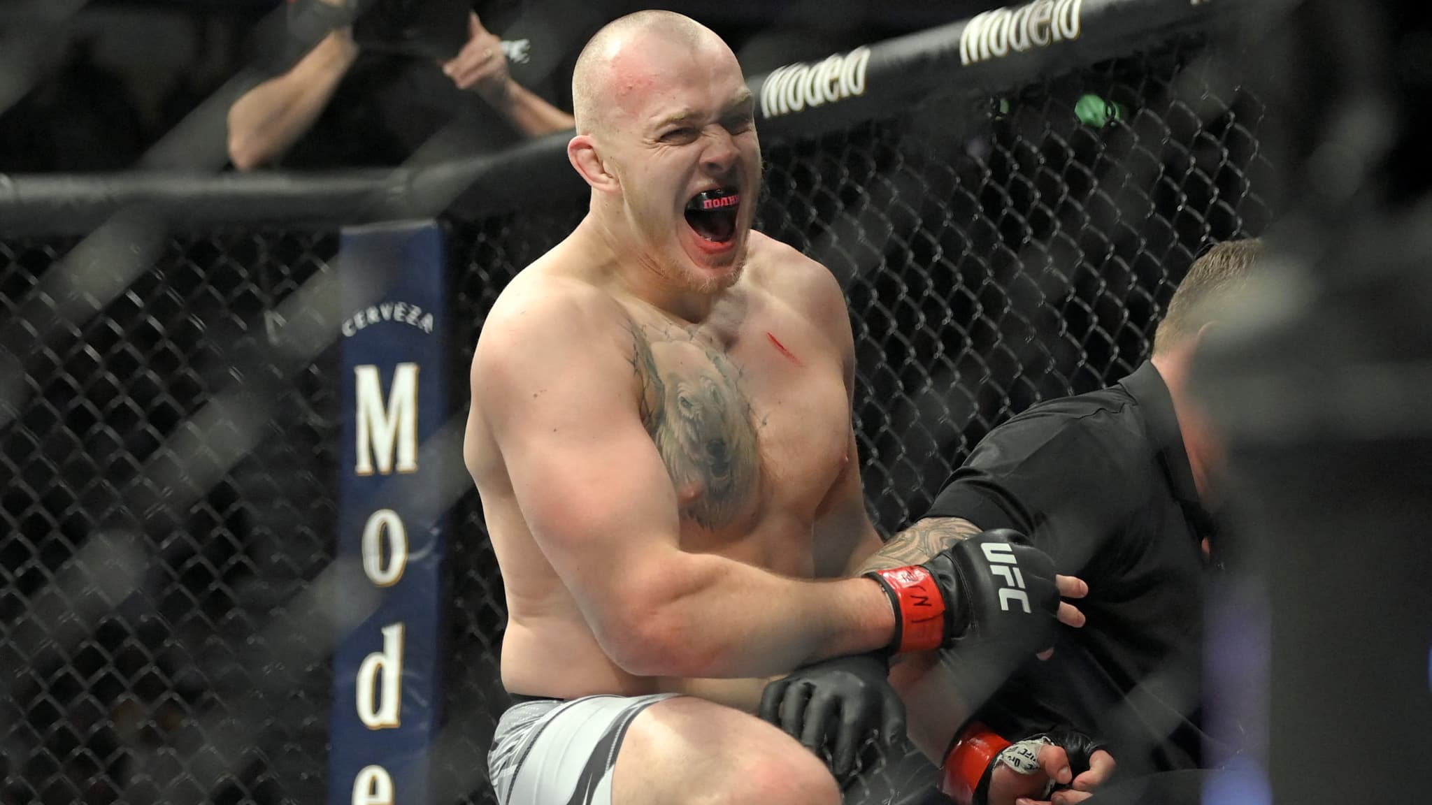 UFC Paris: à la découverte de Serghei Spivac, un "ours polaire" face à ...