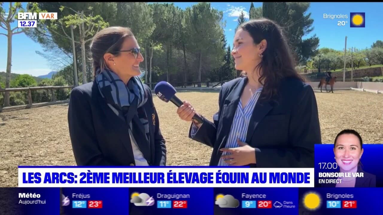 Var: l'élevage Massa nommé deuxième meilleur élevage équin au monde