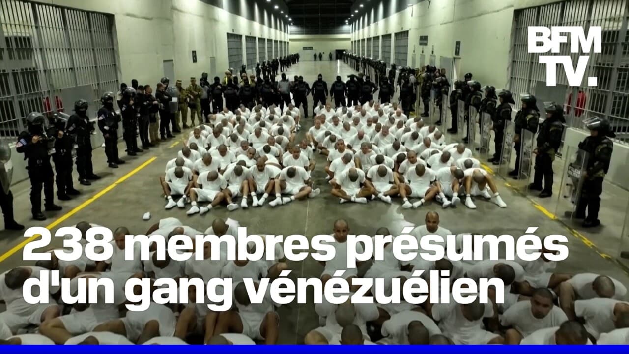 Donald Trump ordonne l’expulsion de 238 membres d’un gang vénézuélien ...