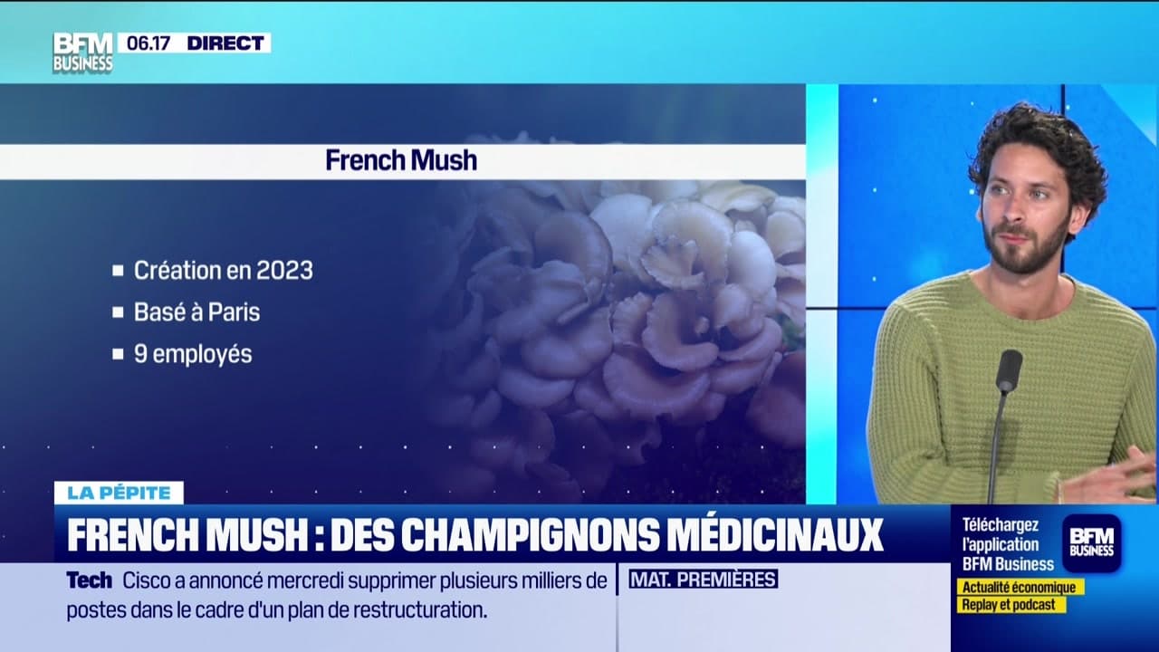 La pépite : French Mush, des champignons médicinaux, par Annalisa ...