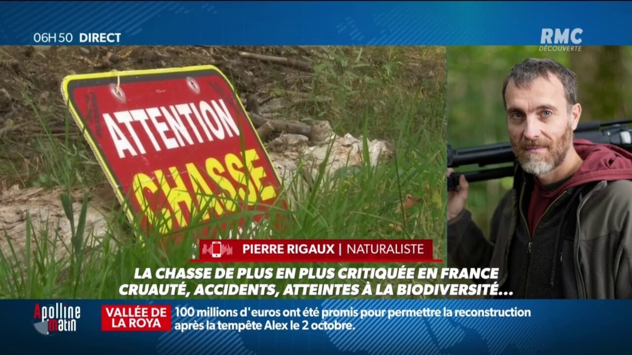 Pierre Rigaux, naturaliste, est notre invité de l'actu ce matin sur RMC