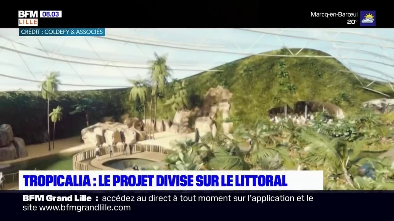 Tropicalia, le projet qui divise sur le littoral
