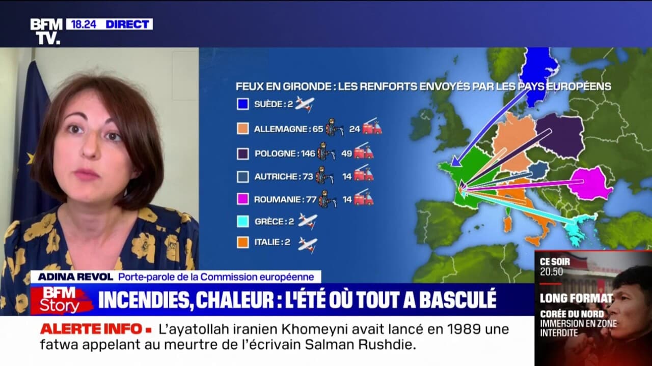 Adina Revol (Commission européenne): "Le mécanisme européen de ...