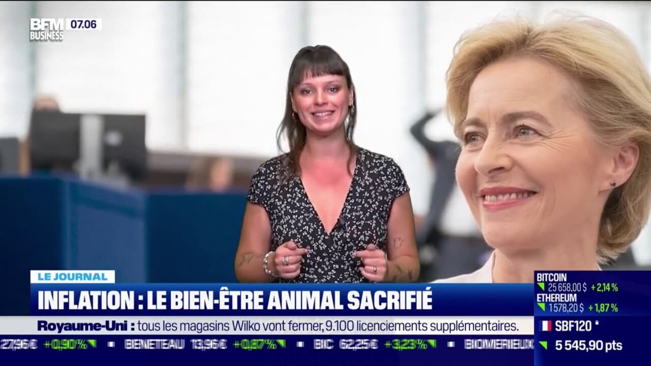 Inflation: le bien-être animal sacrifié