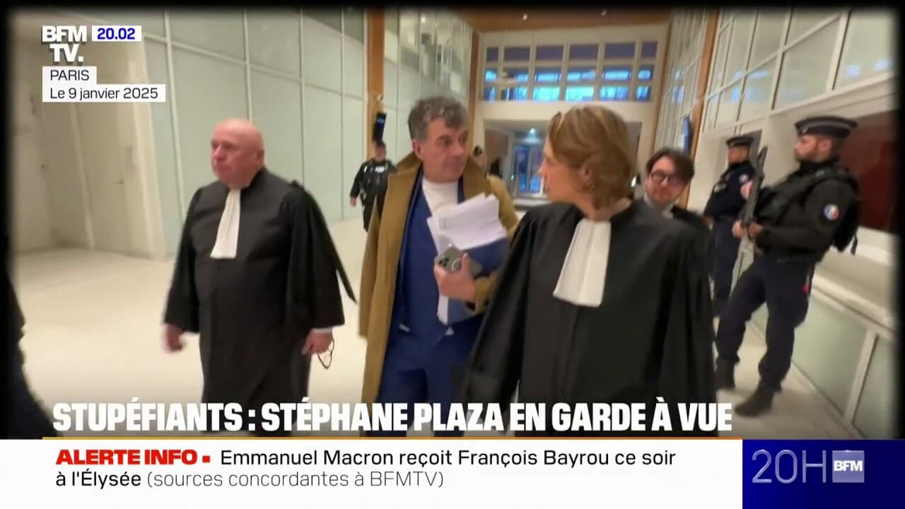 Stéphane Plaza: ce que l'on sait de la garde à vue de l'ex-animateur